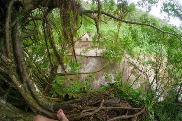Balete Park & Millennium Tree: Largest Balete in Asia - I ♥ Tansyong™