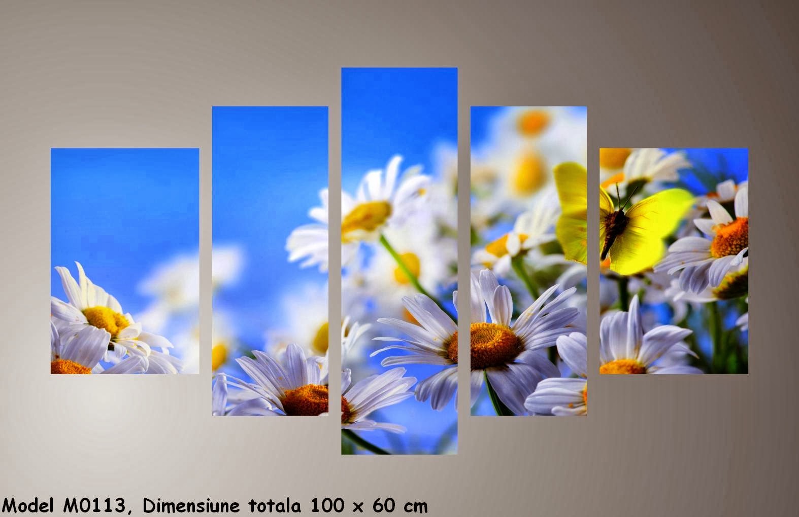 Tablouri Canvas, Tablouri Moderne, Tablouri Decorative, Tablouri ...