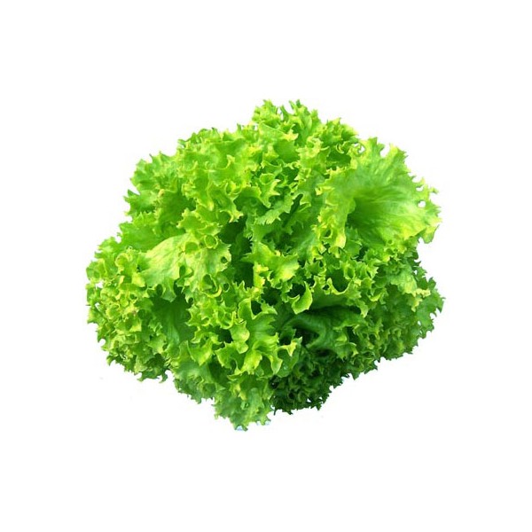 Erase un Blog Recetario: HORTALIZAS DE HOJA Y LECHUGAS.