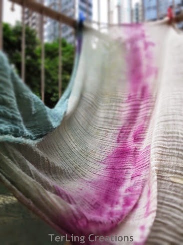 Terrie ~.~ smiling.....: Natural cold dyes 天然冷製染料