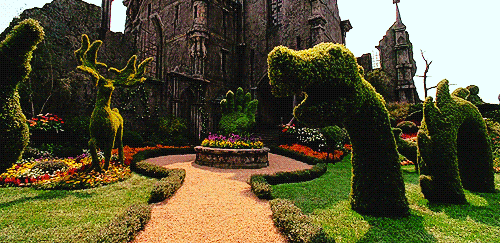 Eye For Design: Decorating With Topiary.....For Your Home And Gardens