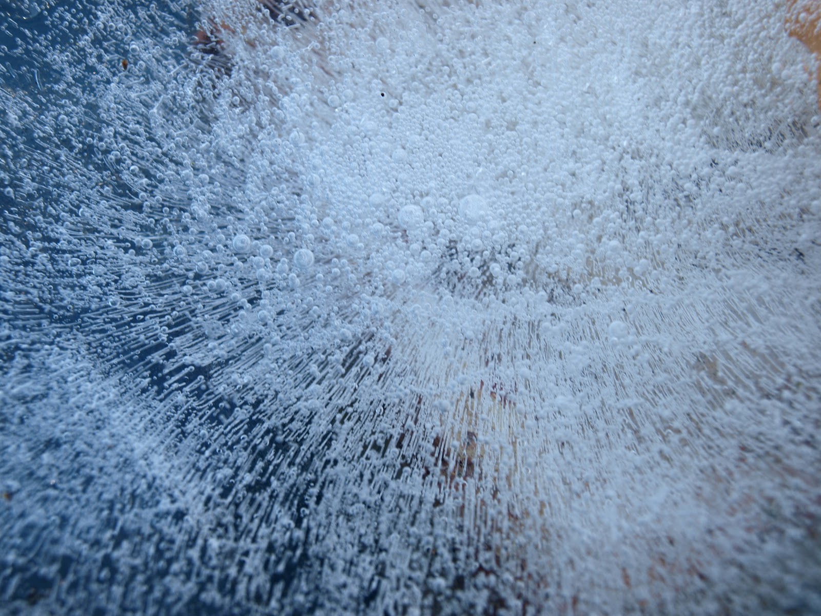 Mark's Veg Plot: Frost patterns - Nature's own artform