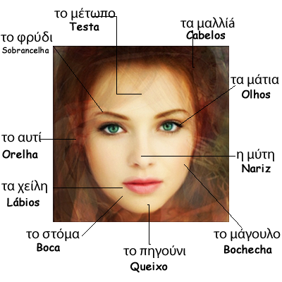 Grego para todos: Vocabulário - As partes do corpo em grego - O Rosto