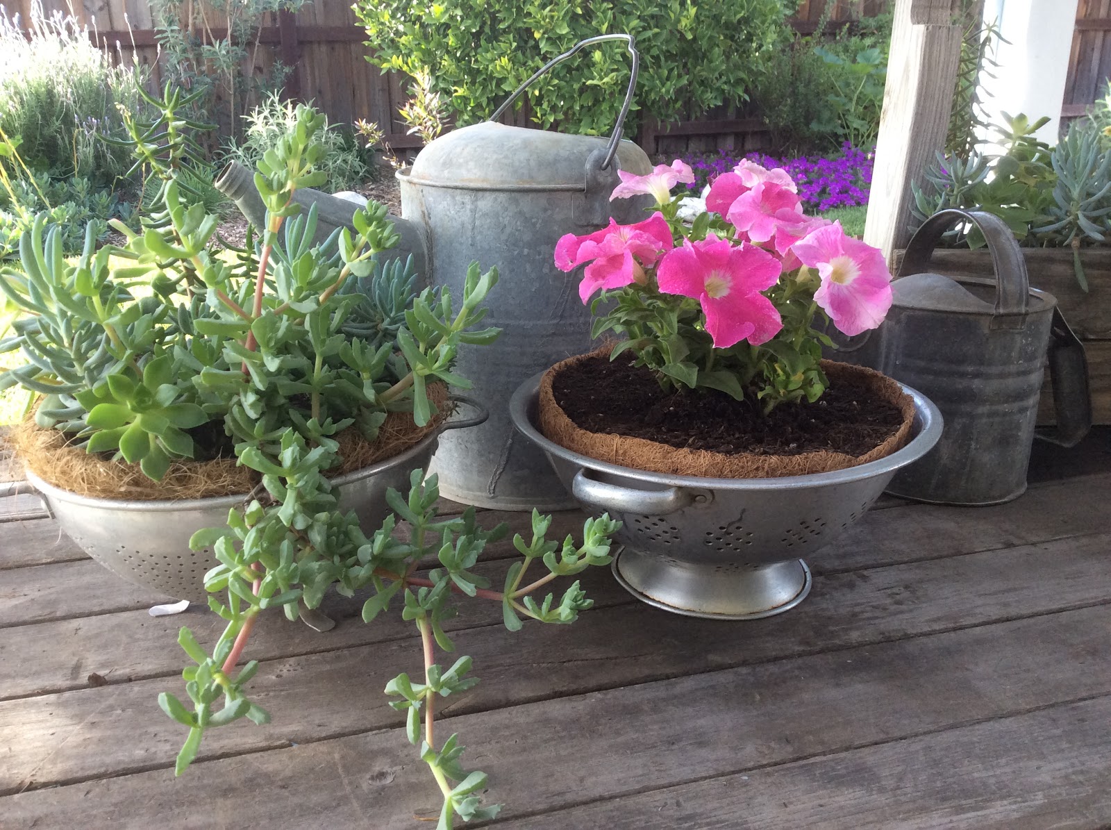 Fresh Vintage by Lisa S: Kitchenware as Repurposed Planters