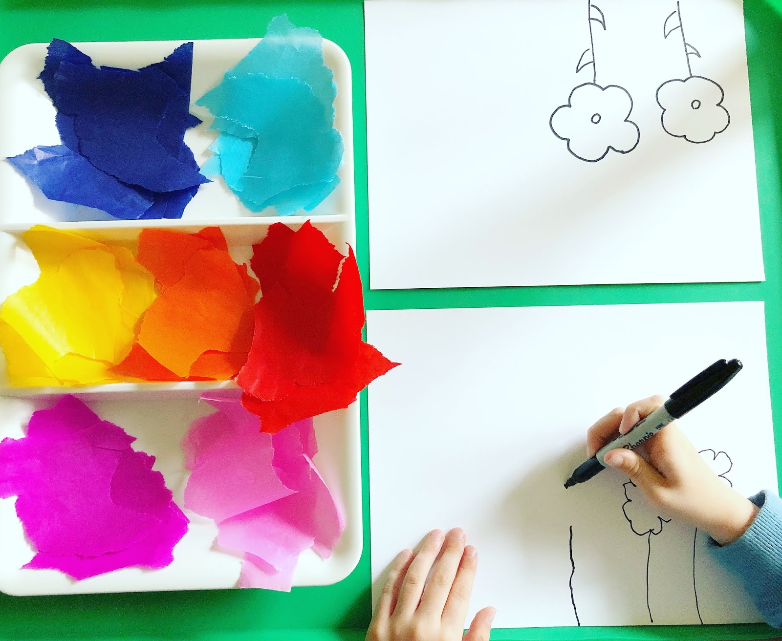 Find the Little Mind: Color Covered Flowers