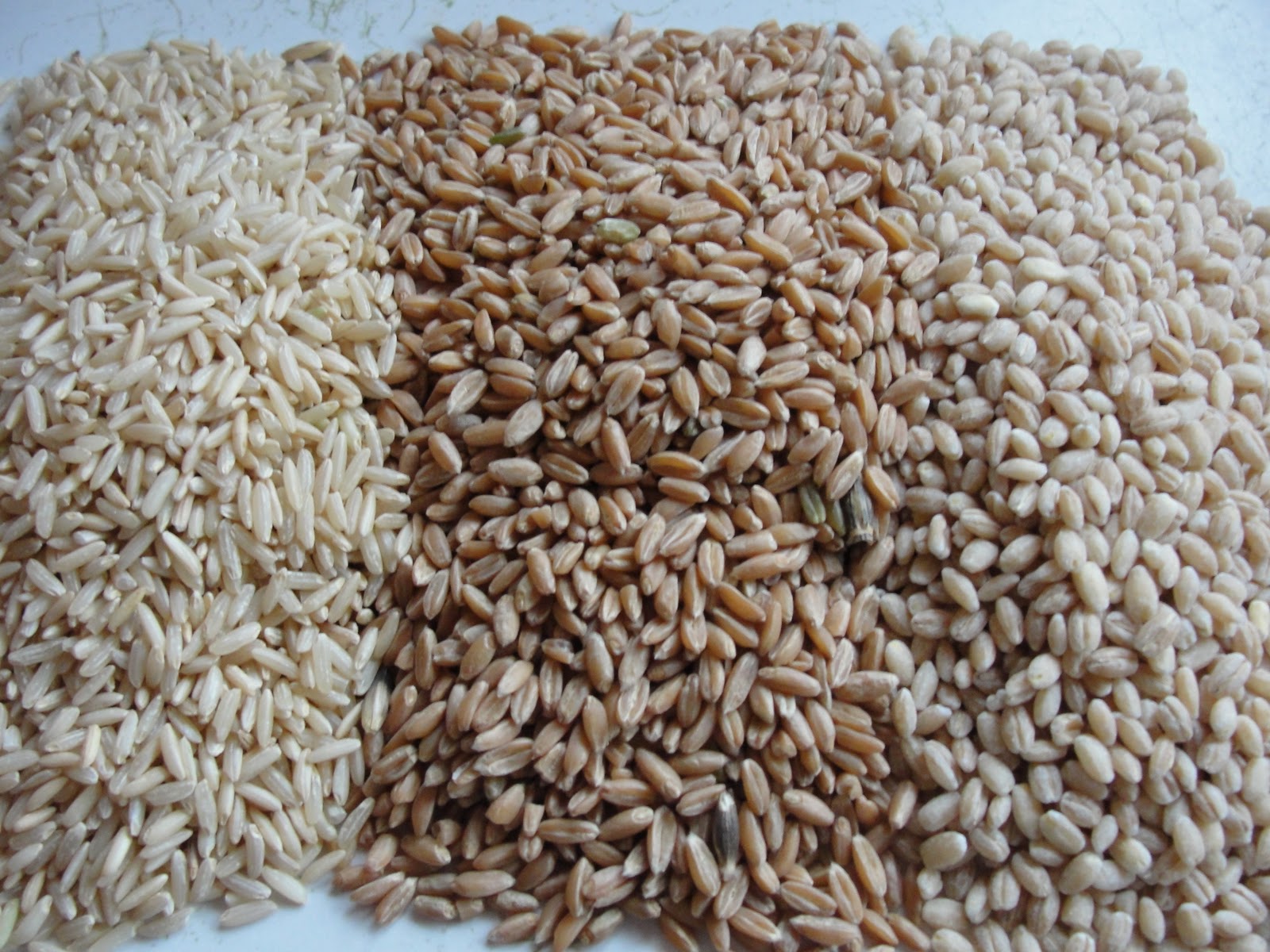 Healthy Family Cookin': Monday Meet Whole Foods: Wonder Flour!