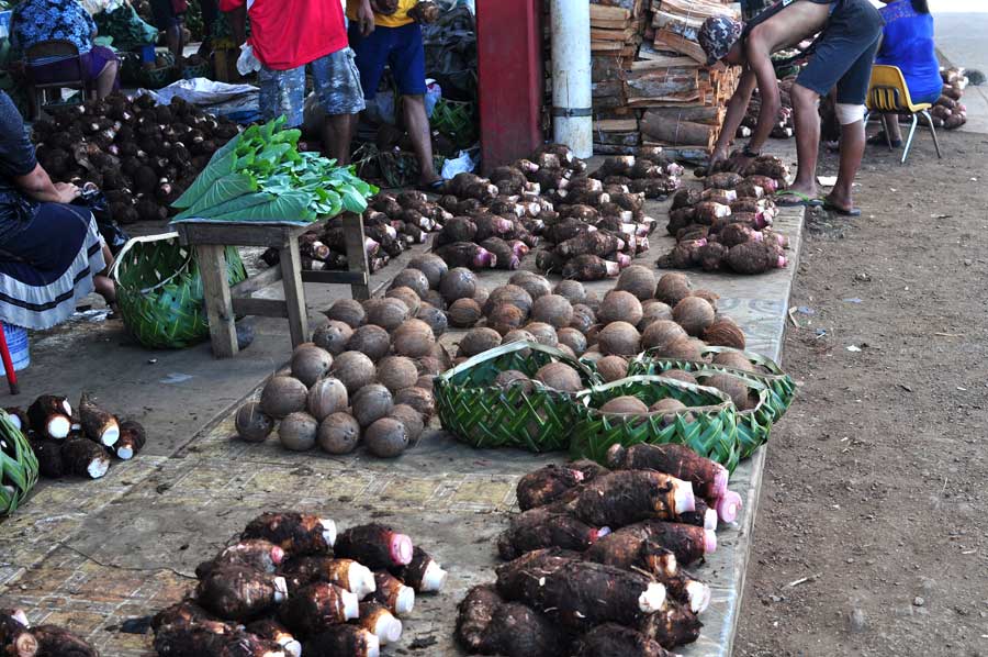 Pioneer Bookworm, life in Belize: the Fugalei Market, and grocery ...