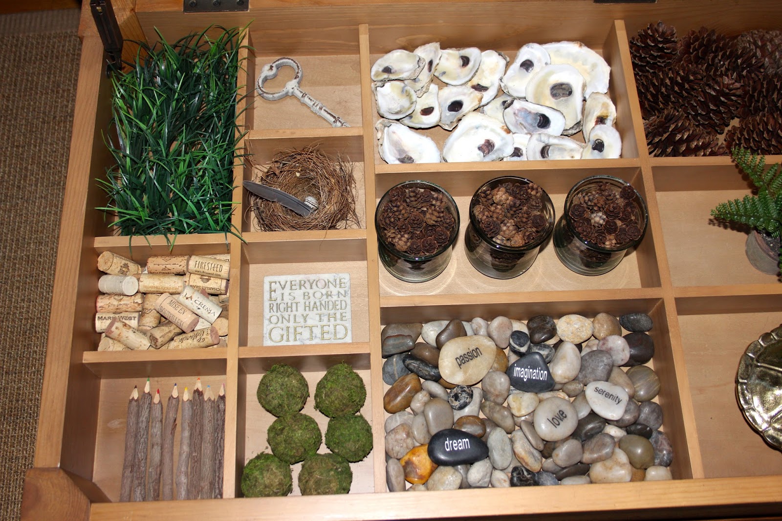 Curio Coffee Table Pottery Barn