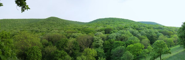 Country inside: Comorile ascunse ale Dobrogei ~ part.I ~ Bujorii din ...