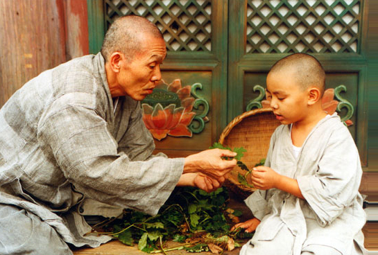 La Luz de la Transformación: El Maestro y el Discípulo