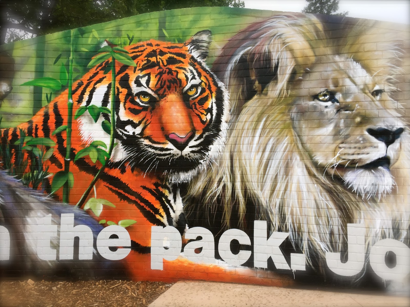 So In Love With Melbourne: New Wall Murals in the Melbourne Zoo- wildly ...