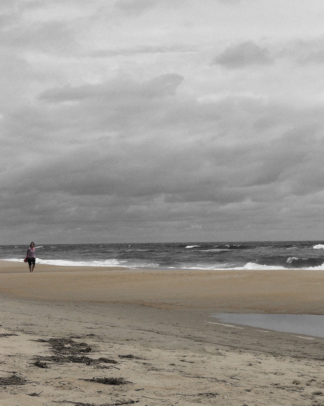 robbie's eye - a view from robbie's eye ( and camera) to yours...: A ...