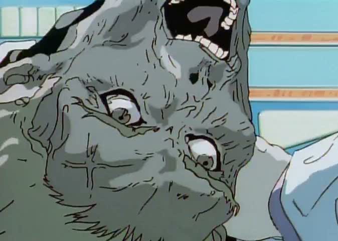 DubSub - Anime Reviews: Kimera Anime Review