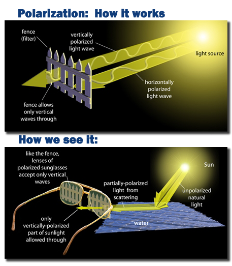 Beginners Vision To Technology: What is Polarization?