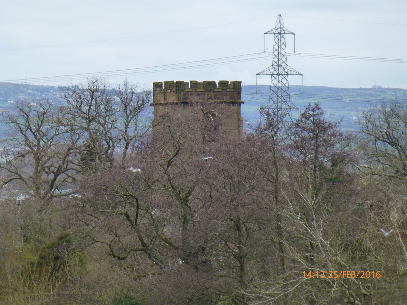 Harris Hikers: Around Puddington, Shotwick and Its Castle 25th February ...