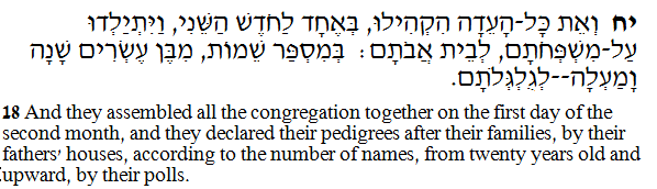 Tehillat HaShem - A Jew's Journey Through Judaism: King David's Family ...