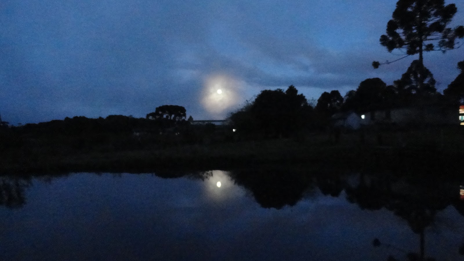 Orquídeas, aves, ovinos, plantas, animais, vida do interior....: Luar ...