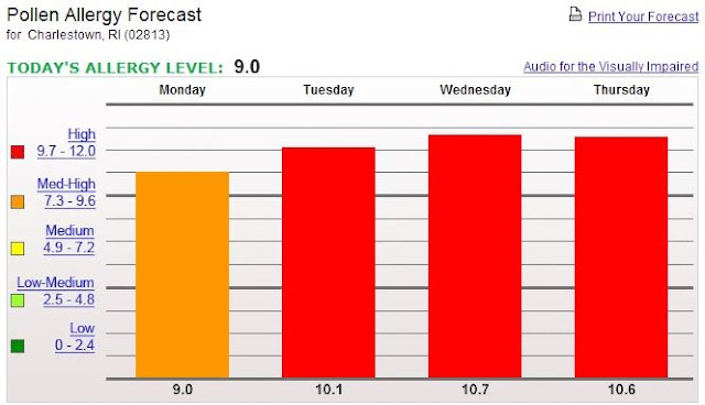 Progressive Charlestown: Major increase in pollen count coming this week