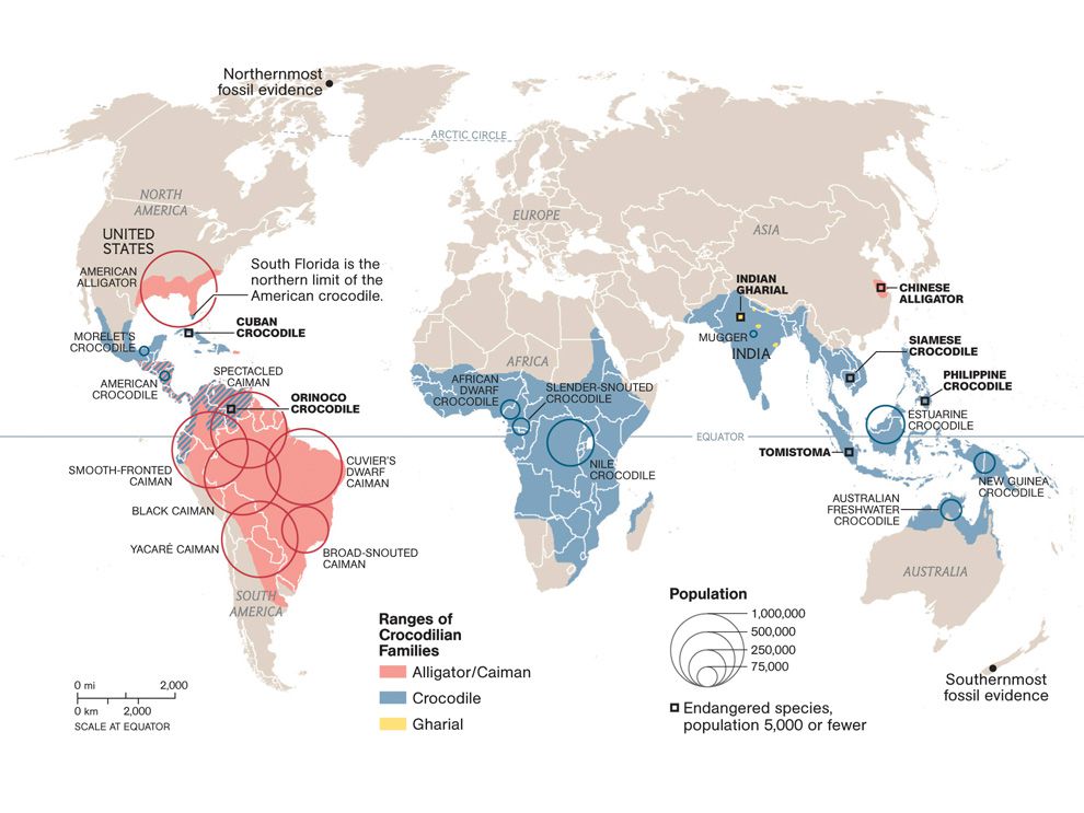 Ranges of Crocodilian Families