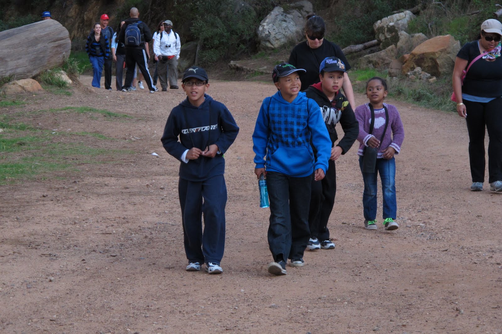 Just Ordinary People: Constantia Neck to Newlands Forest with Iron Pigs ...