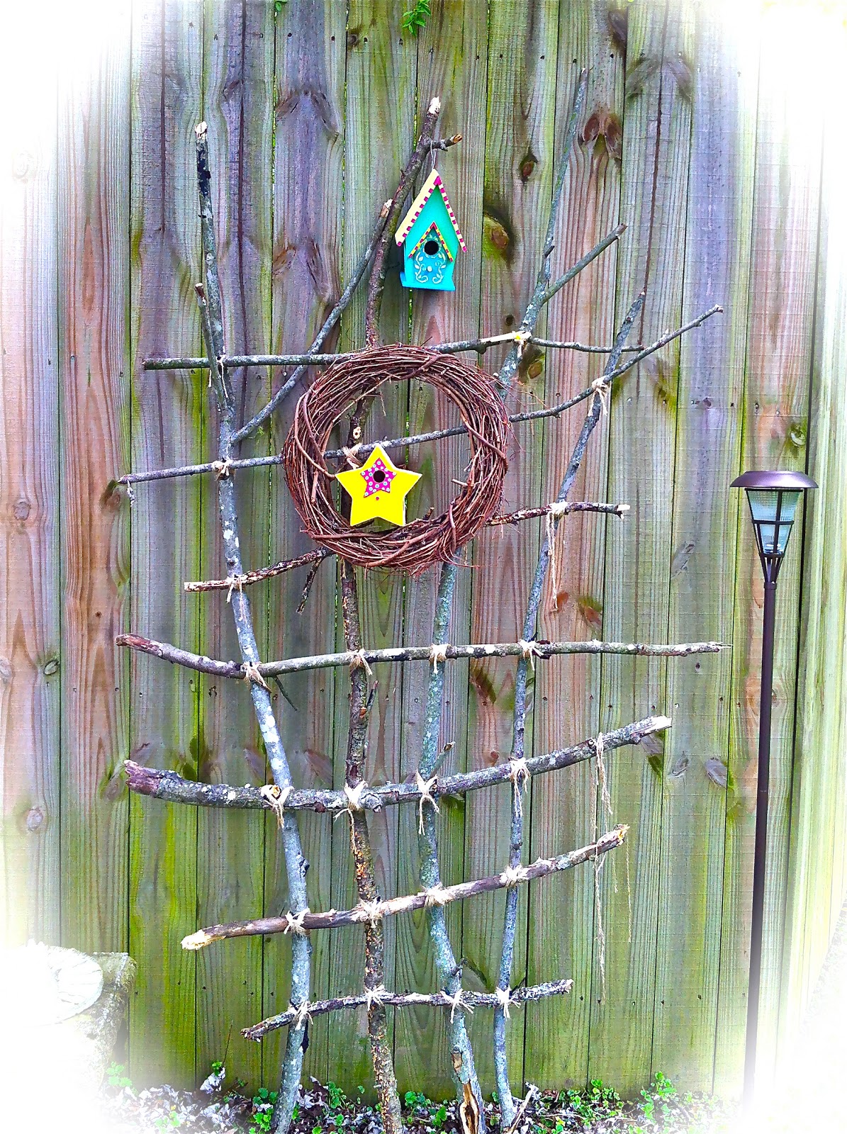 everyday donna: Make A Rustic Trellis From Fallen Tree Limbs