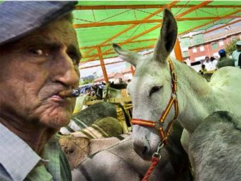 cosas que no salen en la tele: el capitalismo explicado con/para burros
