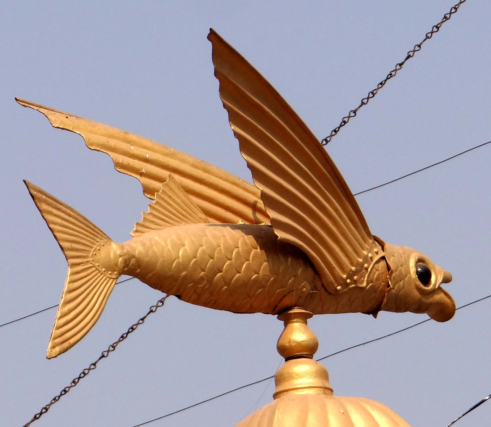 Footloose: 14. Back to the roots: A trip to Lucknow 3