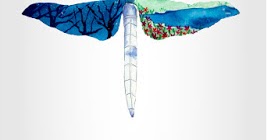 Everything You've Ever Done | BookInform Press Release and Distribution