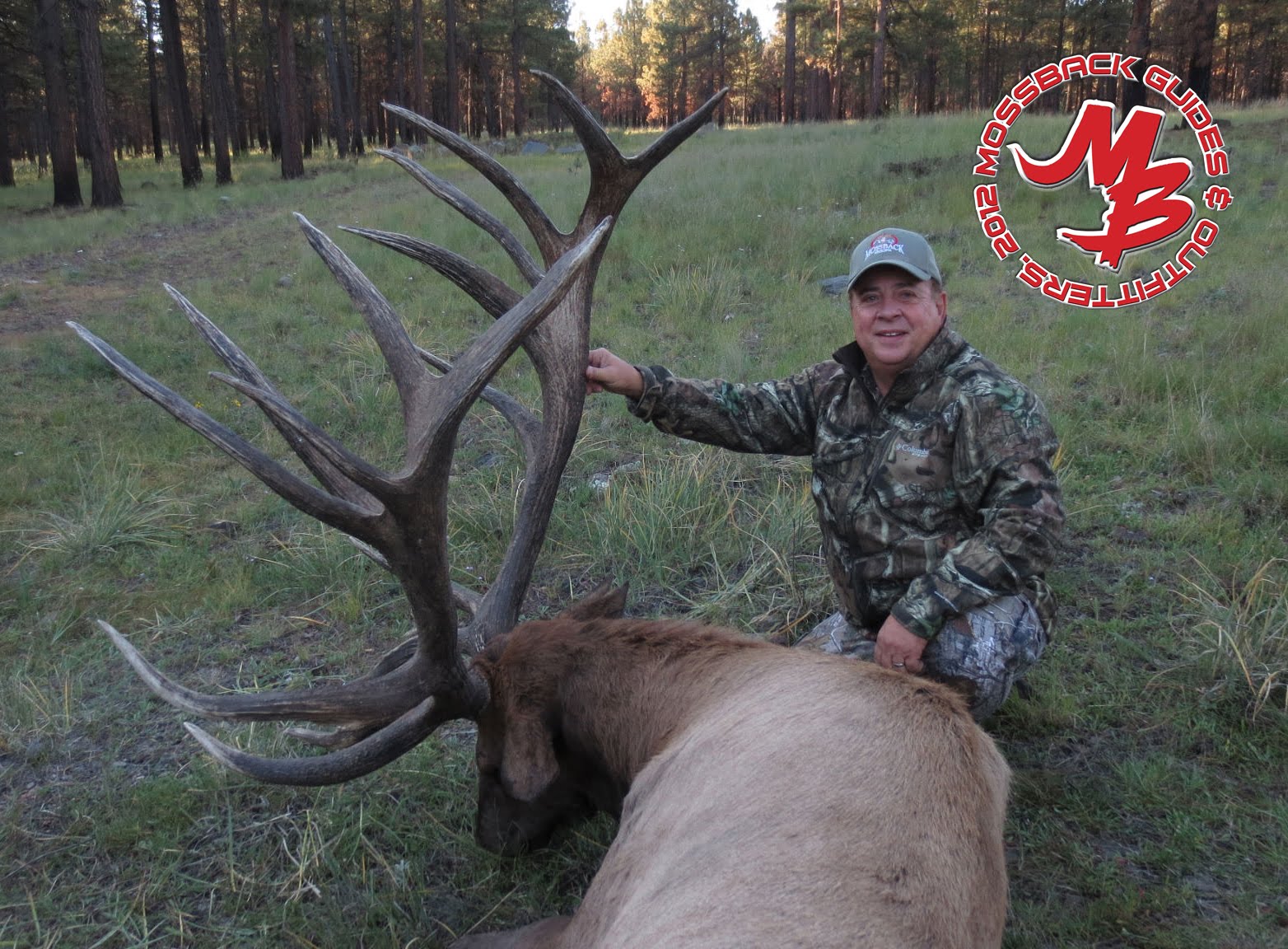 A3 Trophy Hunts LLC : Mikes 476" Monster Arizona Bull!