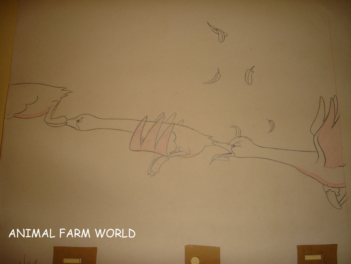 Living Lines Library: Animal Farm (1954) - Production Drawings > Animals