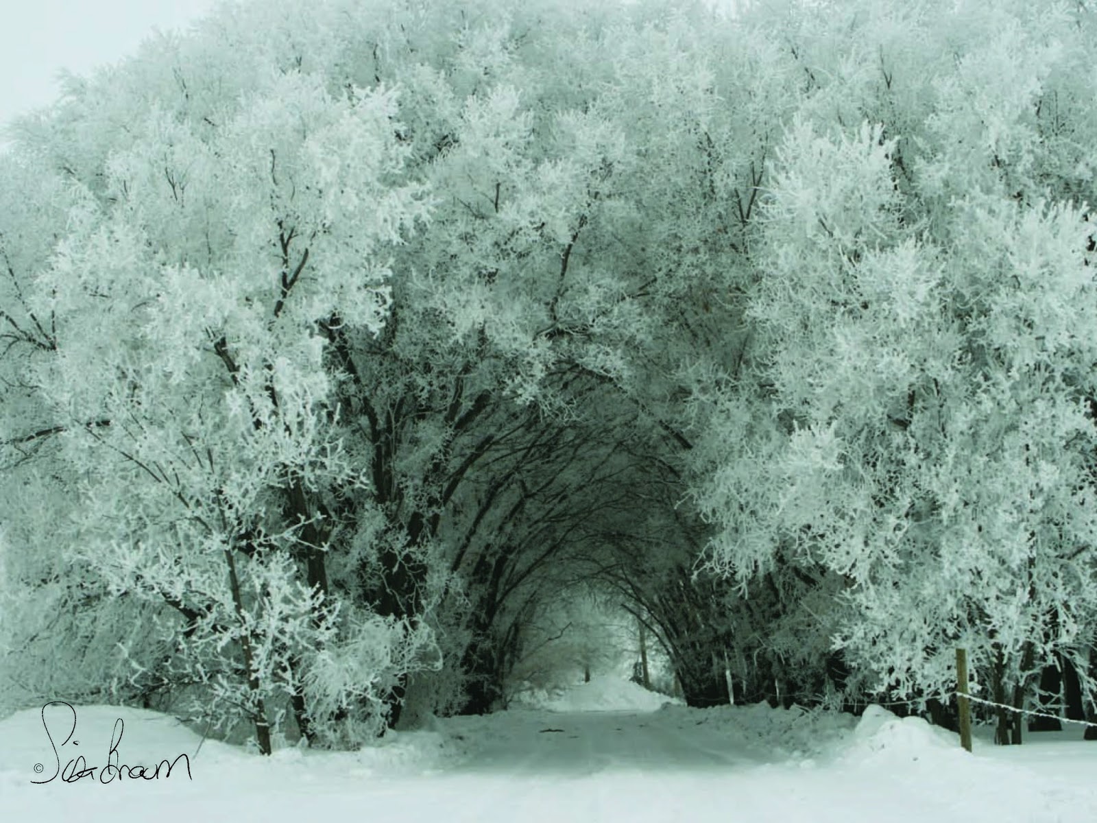 Photography by Lisa: 2014 Saskatchewan Prairie Scenes Calendar
