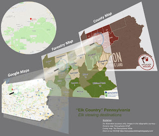 Elk Viewing | Visit Pennsylvania – Complete Guide with Resources