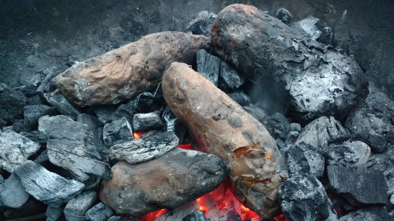 Fire Roasted Sweet Potato Beer