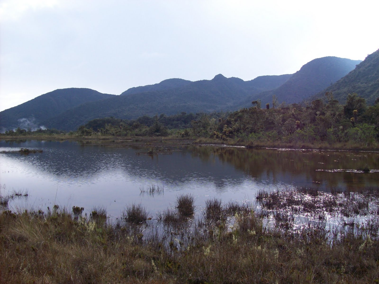 Parques Nacionales Colombia y Ecuador: Parque nacional natural Tatamá