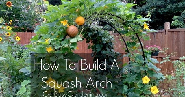 How To Build a Squash Arch ~ Goods Home Design