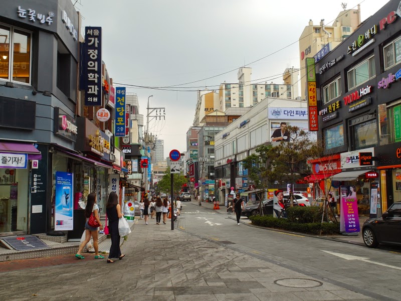 Ewha Summer Studies Day #25 - 26 : Apgujeong Rodeo Street x DMZ ...