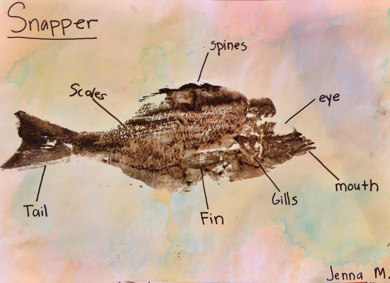 Arboretum Summer Nature Camp 2014: Week 4 : "Zoology, The Great Animal ...