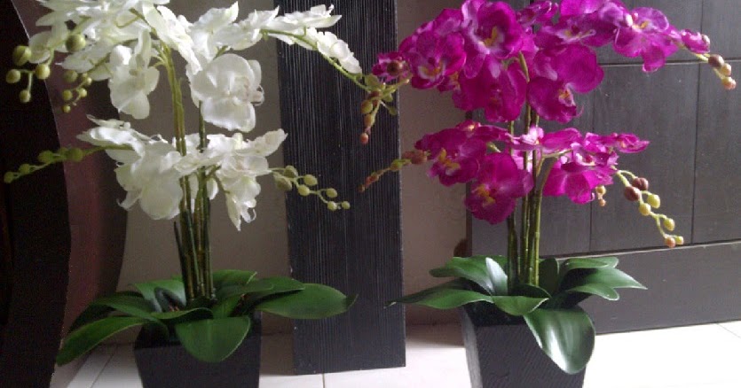 82+ Bunga Hias Di Ruang Tamu