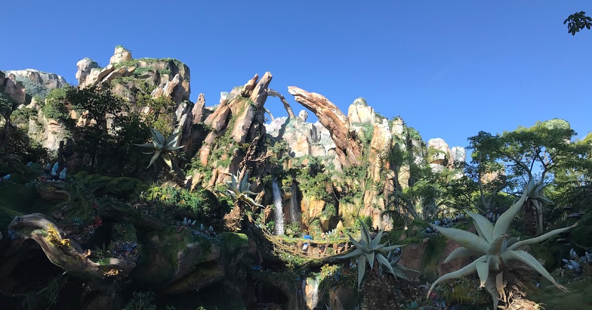 That's Life: Avatar rides!