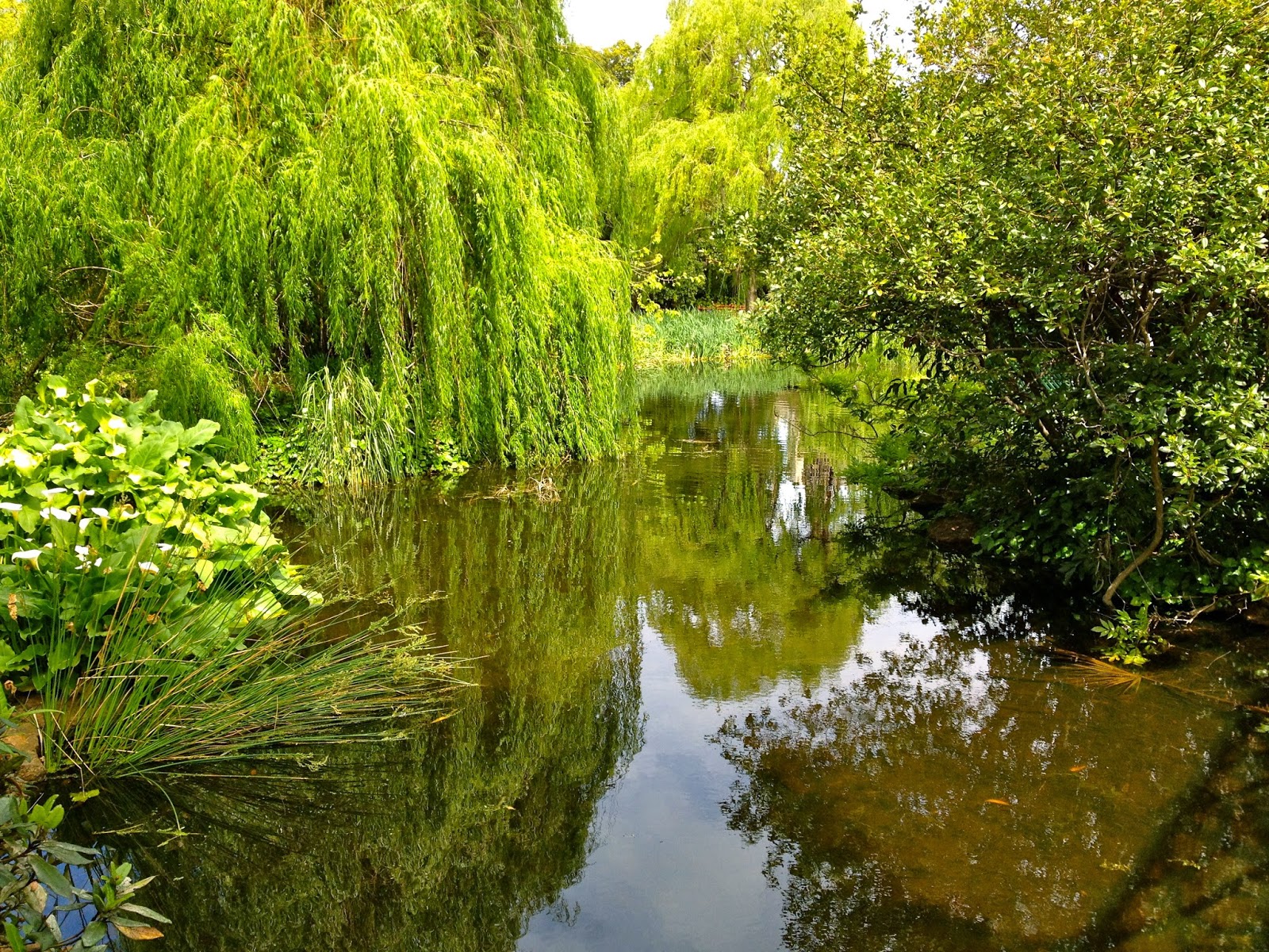 Paris Rendezvous and Beyond: Melbourne Bunnies et al