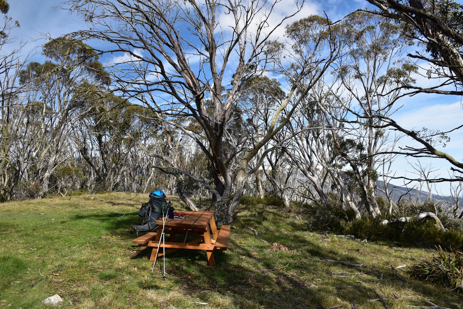 Goin' Feral One Day At A Time: Cleve Cole Hut to Mt Wills, AAWT, Alpine ...