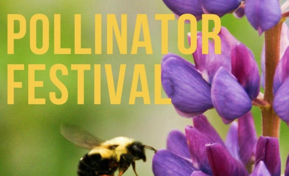 PA Environment Digest Blog: Allegheny Land Trust & Point Park U. Host ...