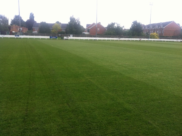 Pie and Mushy Peas: Farnham Town FC