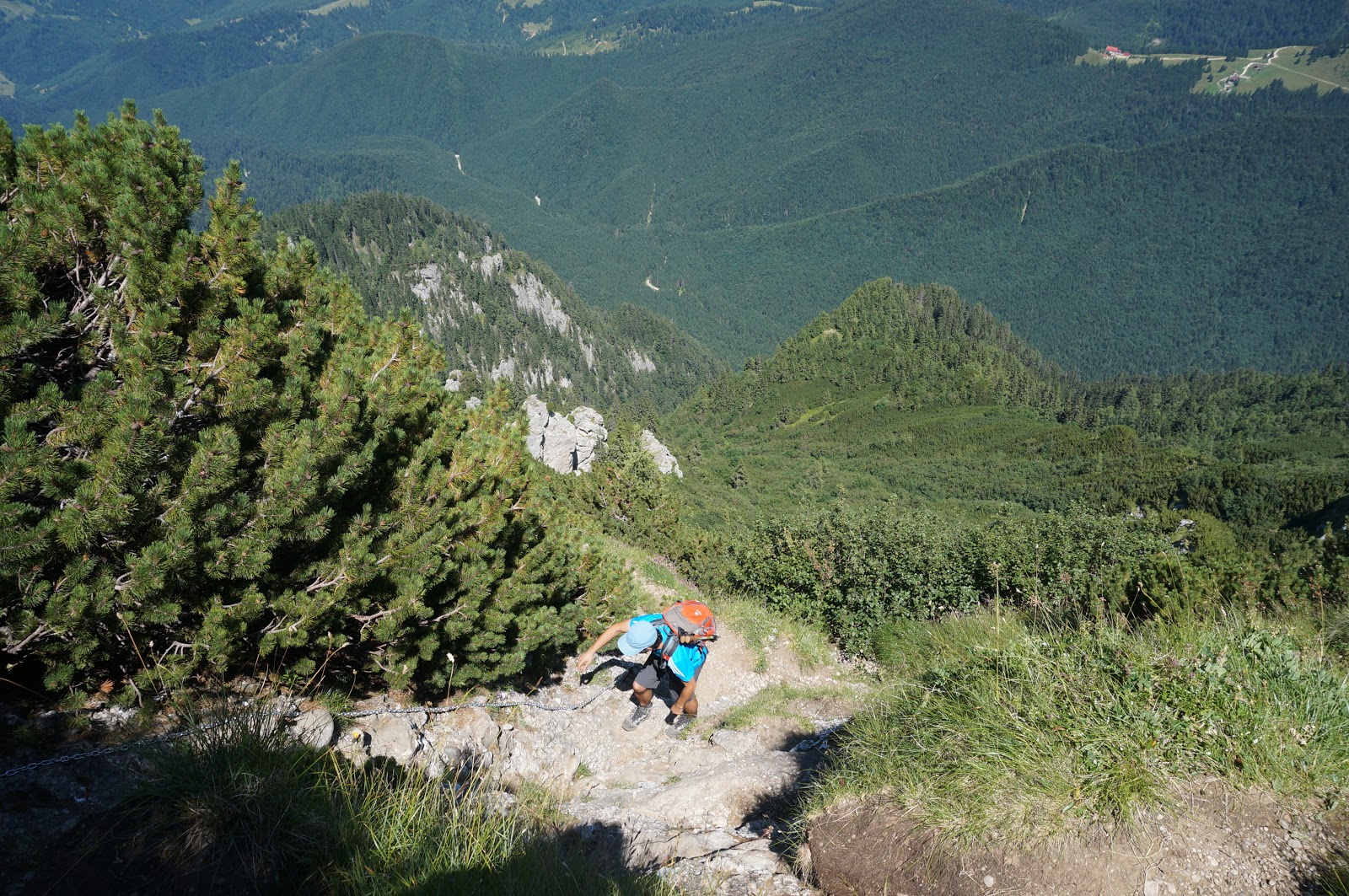 Munte, Drumetii, Aventura: Varful Bucsoiu pe La Prepeleac