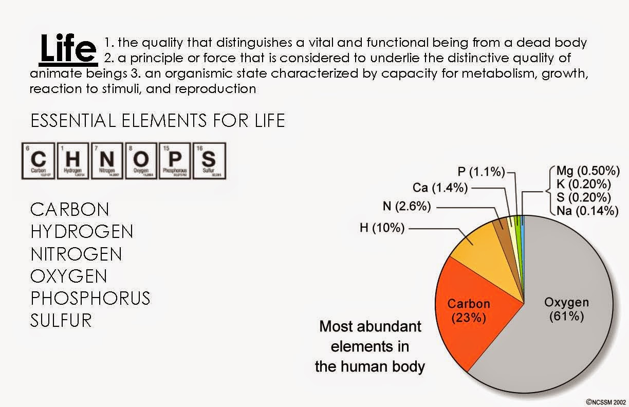 Arch Design 6: Ingredients of Life