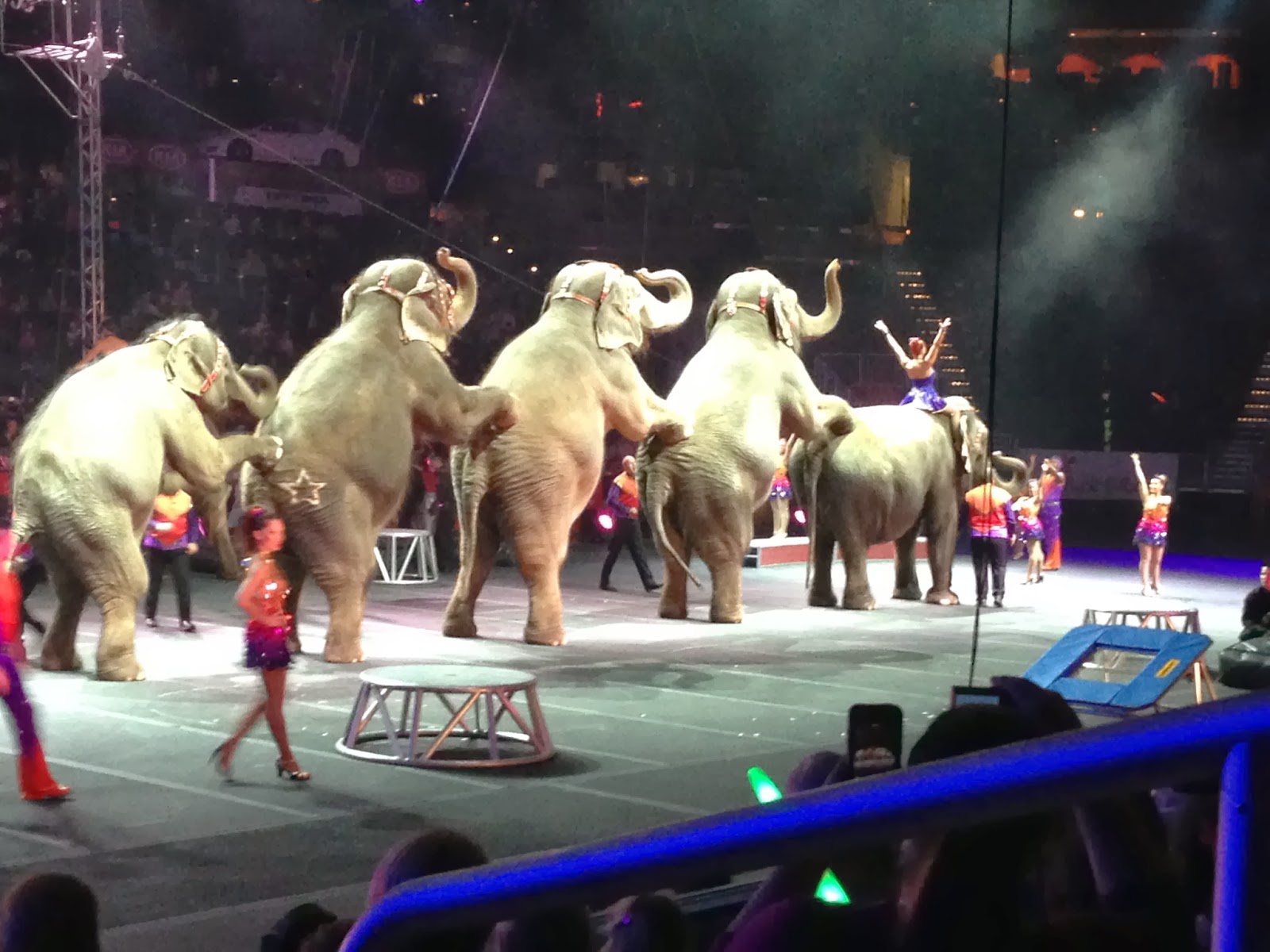 From @BalancingMama: #RinglingATL entertains again!