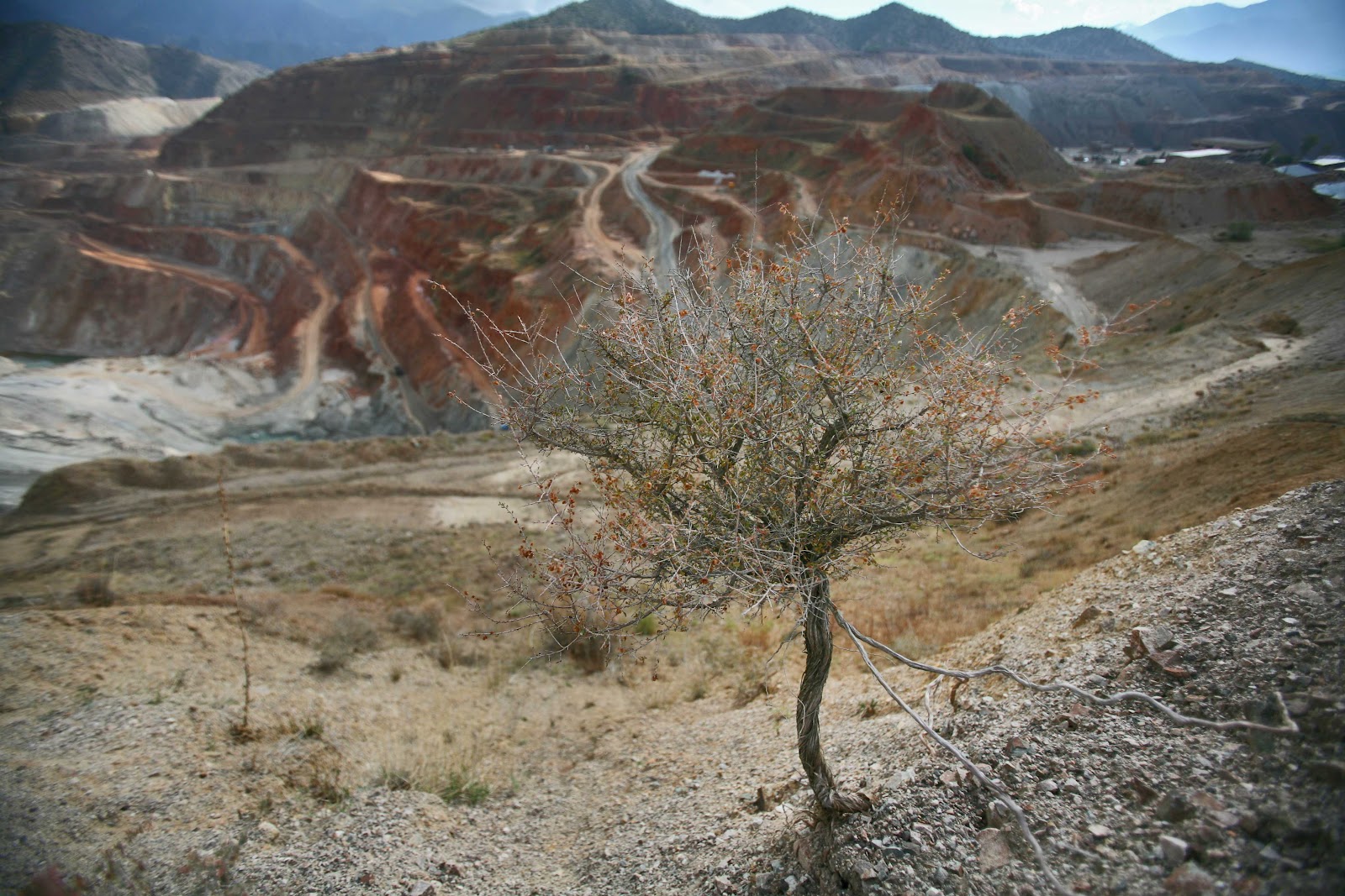 Battle for Green or Let's protect our nature: Agarak Copper-Molybdenum ...