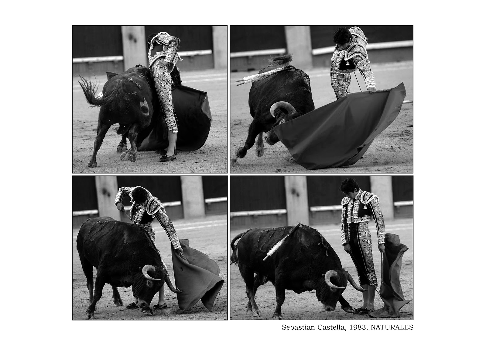 La Fiesta prohibida, por Manuel Hernández.: Sebastián CASTELLA. Faenas