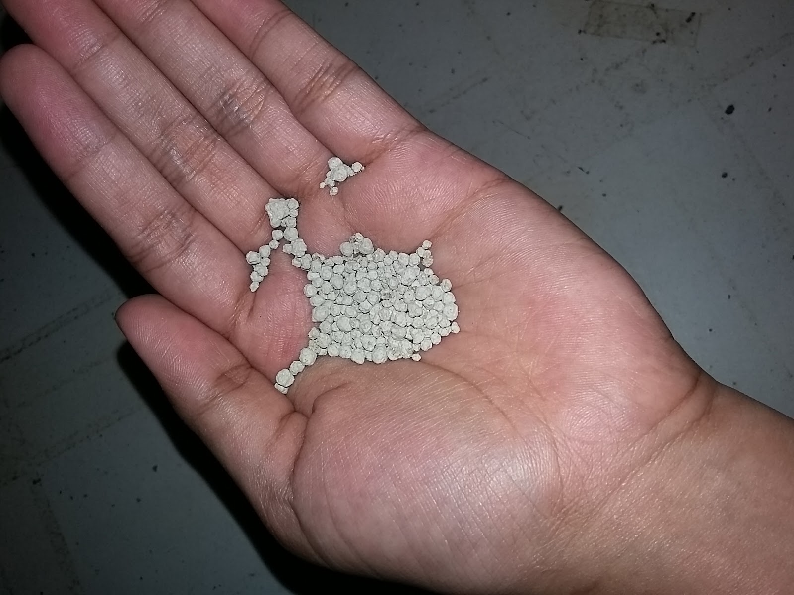 [Review] Aromatic Cat Sand ~ Blognya Fitriana