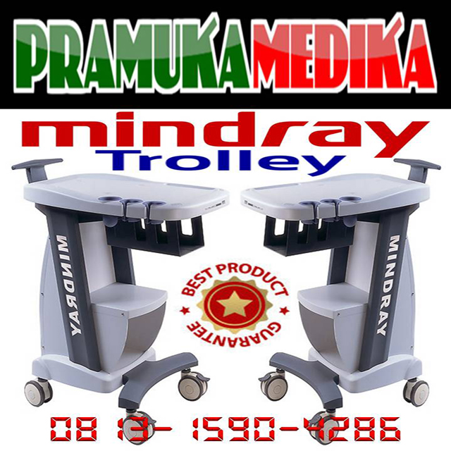 PRAMUKA MEDIKA: TROLLEY USG MINDRAY | PRAMUKA MEDIKA